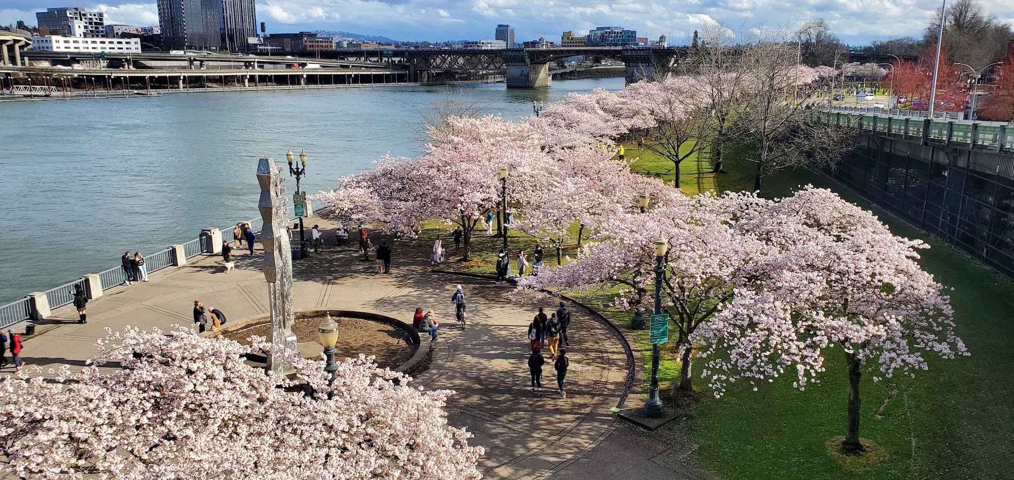 Home - Tualatin Web, LLC